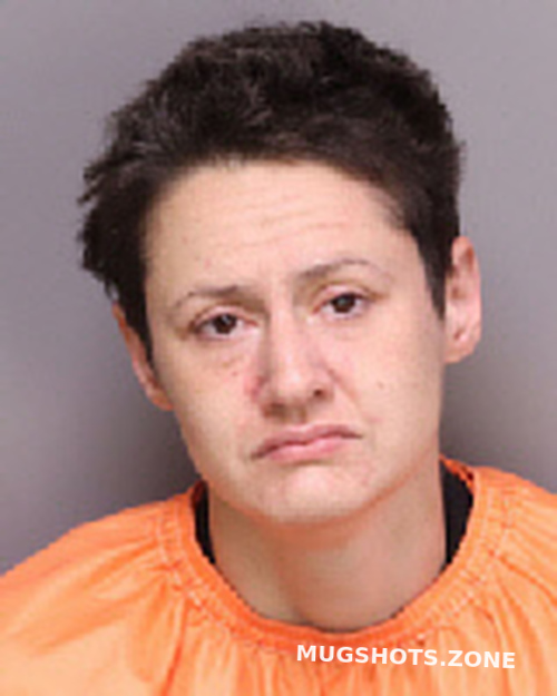 JOYNER AMANDA GAIL 10/14/2022 - Florence County Mugshots Zone