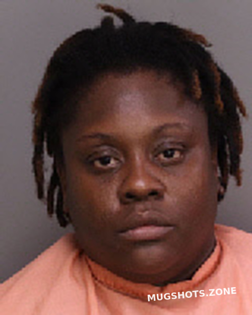 JOHNSON WILLISHA ANN 10/19/2022 - Florence County Mugshots Zone