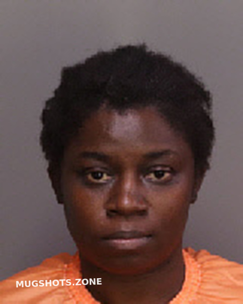 Howard Ashley Renia 11 01 2022 Florence County Mugshots Zone
