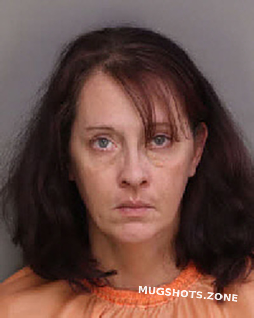 DAVIS MISTY LYNN 11/18/2022 - Florence County Mugshots Zone