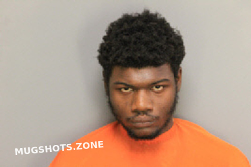 PETERSON DELONTA SHYLICK 11/23/2022 - Florence County Mugshots Zone