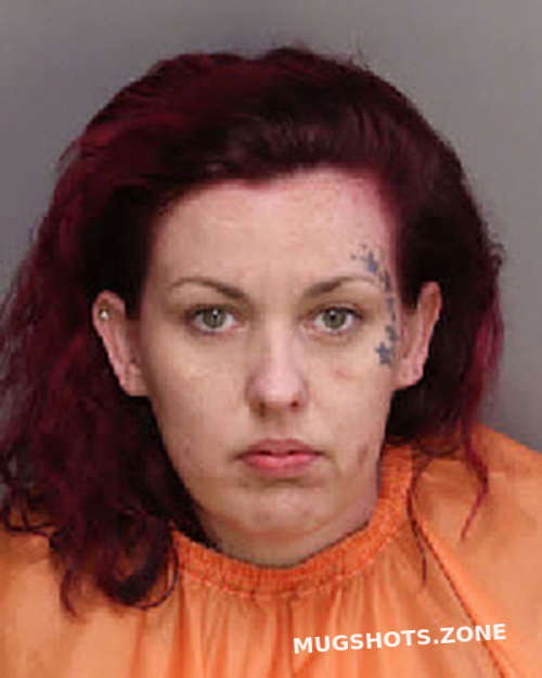 GLASS JESSICA RENEE 01/17/2023 - Florence County Mugshots Zone
