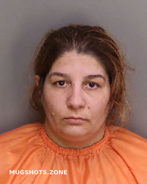 TUDORACHE LUMINITA 03/06/2023 - Florence County Mugshots Zone