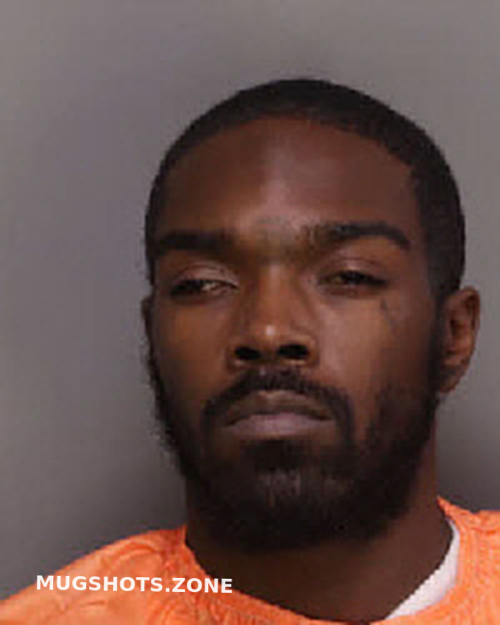 ADDISON DAVAUGHN EMANUEL 05/22/2023 - Florence County Mugshots Zone