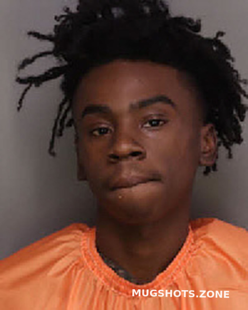 FIELDS JAMARIUS KENARION 06/22/2023 - Florence County Mugshots Zone