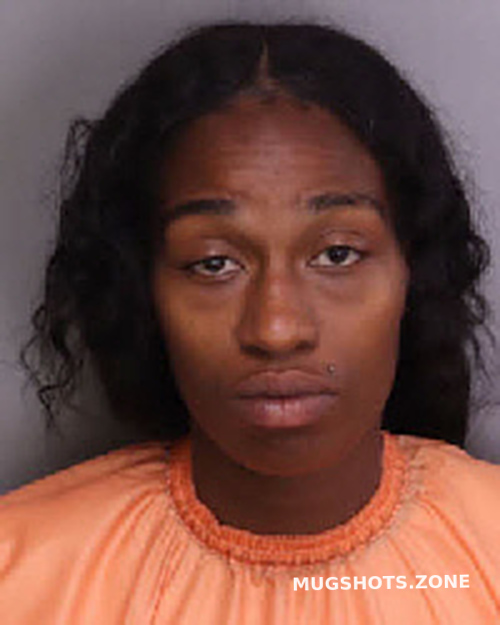 GEORGE TELICIA LAQUASHA 07/18/2023 - Florence County Mugshots Zone