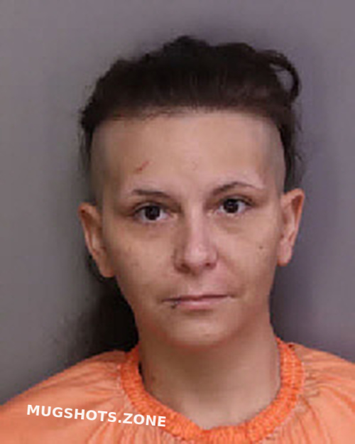 SPRINGS NESSIE MARIA MANAR 08/21/2023 - Florence County Mugshots Zone