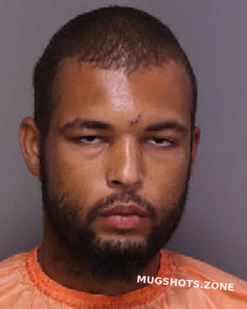 MCCRAY JALYN ZEMAR 08/24/2023 - Florence County Mugshots Zone