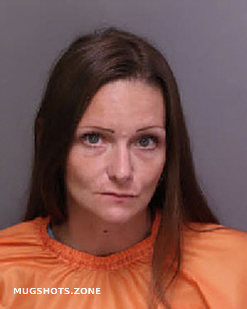 ROBINSON SHANNON NICOLE 10/30/2023 - Florence County Mugshots Zone