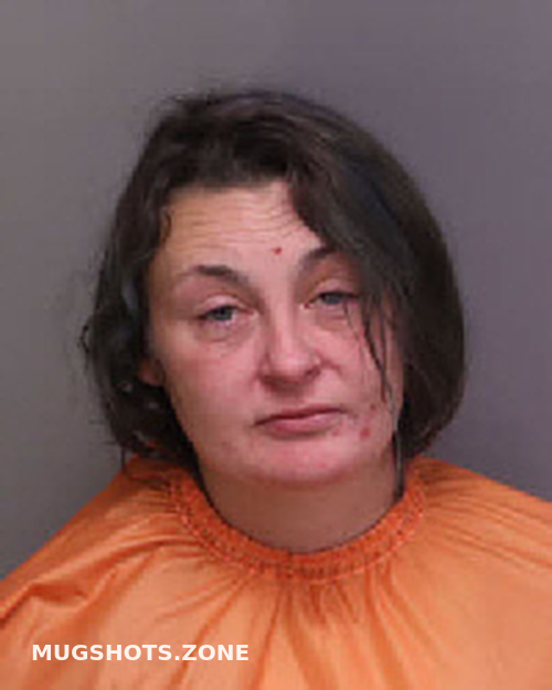 LEE AMANDA DENISE 11/12/2023 - Florence County Mugshots Zone