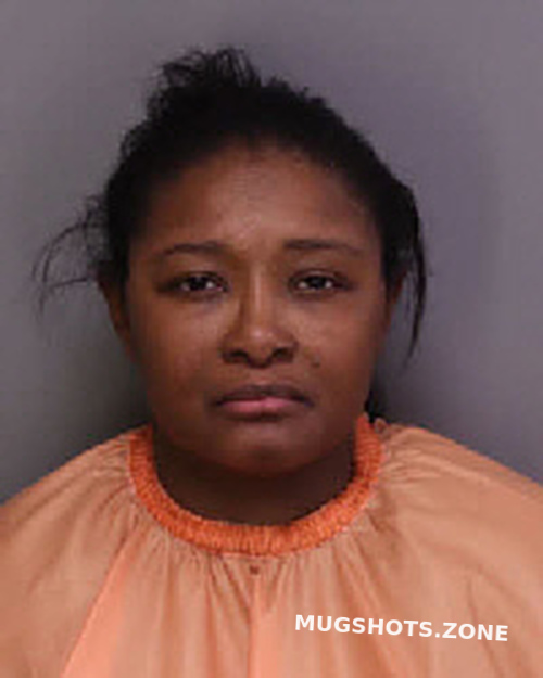 BOSTICK SHAUNDRA LEE 11/14/2023 - Florence County Mugshots Zone