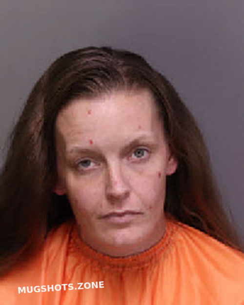 HERRING MANDY LYNN 11/15/2023 - Florence County Mugshots Zone