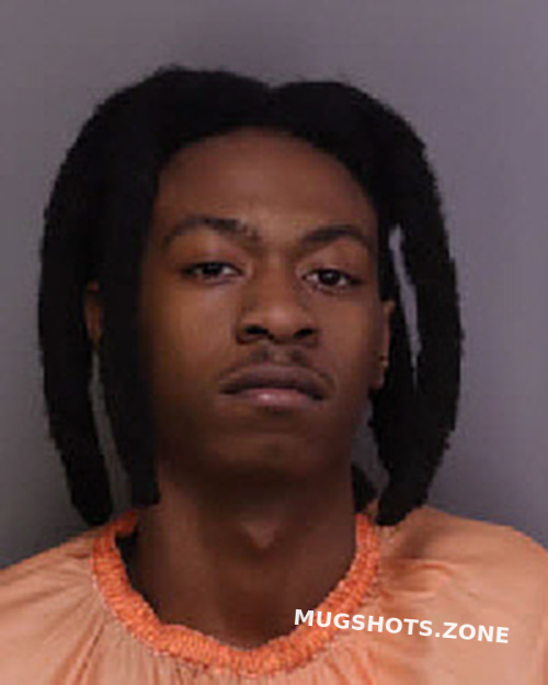 MCALLISTER AL MONTAVIOUS 01/02/2024 - Florence County Mugshots Zone