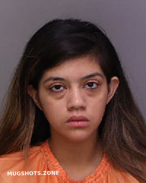 CARREON-CRUZ MARIA S 01/03/2024 - Florence County Mugshots Zone