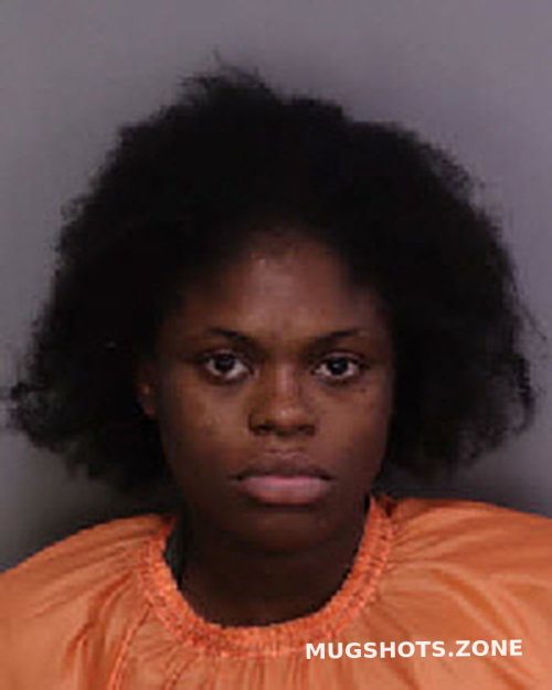 HUTSON LYDIA MICHAEL 01/16/2024 - Florence County Mugshots Zone