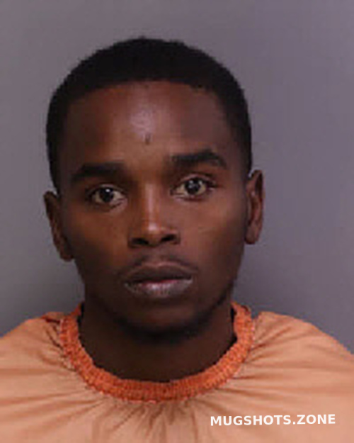 RIOUS KENDALL KARON 02/09/2024 - Florence County Mugshots Zone
