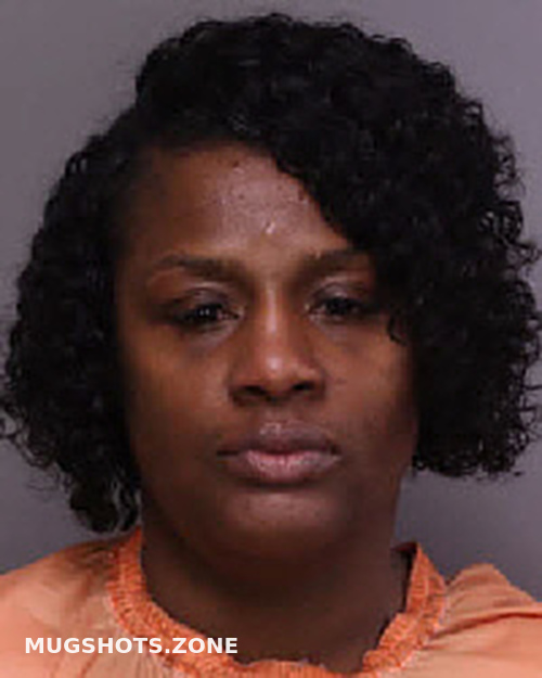 WHITE VIRGINIA BRENDA 02/21/2024 - Florence County Mugshots Zone