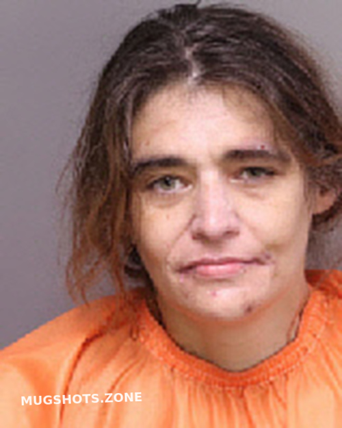 DIXON TRACY LYNN 02/23/2024 - Florence County Mugshots Zone DIXON TRACY LYNN 02/23/2024 - Florence County Mugshots Zone