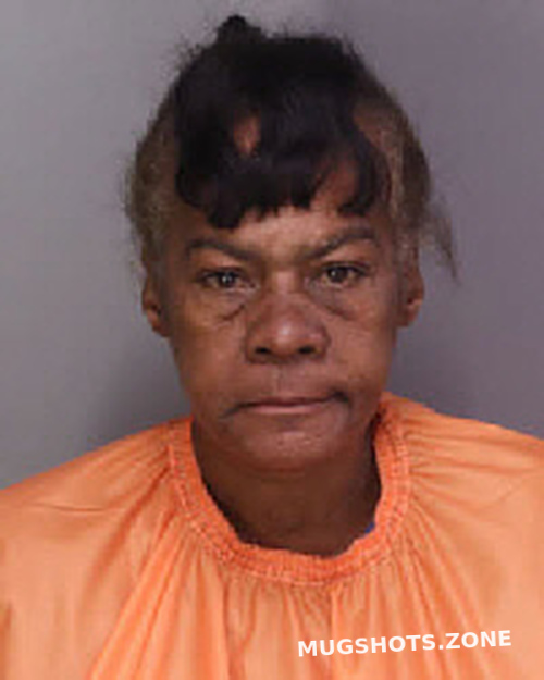 MCNEIL MICHELLE 04/19/2024 - Florence County Mugshots Zone