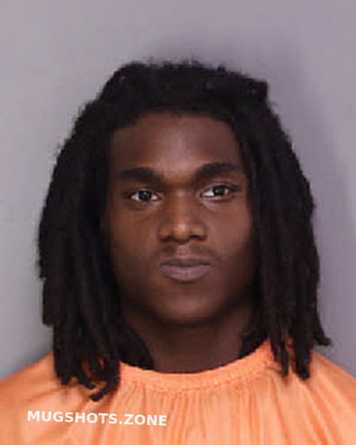 MCNEILL ANDRE NICHOLAS 06/18/2024 - Florence County Mugshots Zone