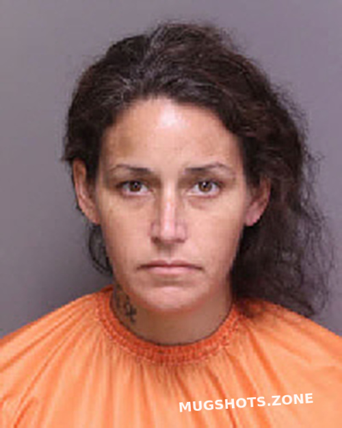 WATKINS APRIL NICOLE 06/20/2024 - Florence County Mugshots Zone