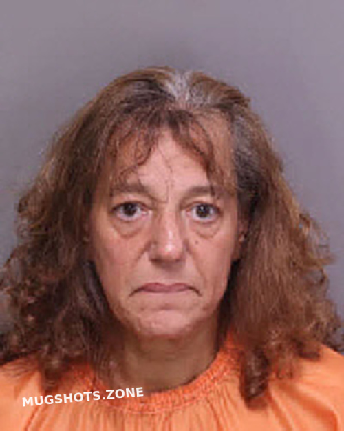 CARON BRENDA J 07/17/2024 - Florence County Mugshots Zone