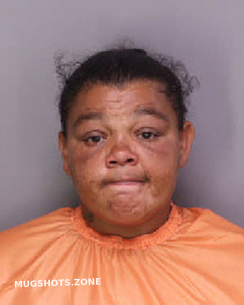 HAGGINS CRYSTAL NICOLE 07/27/2024 - Florence County Mugshots Zone
