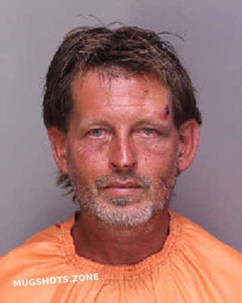 GAINEY ROBERT COLEY 07/28/2024 - Florence County Mugshots Zone