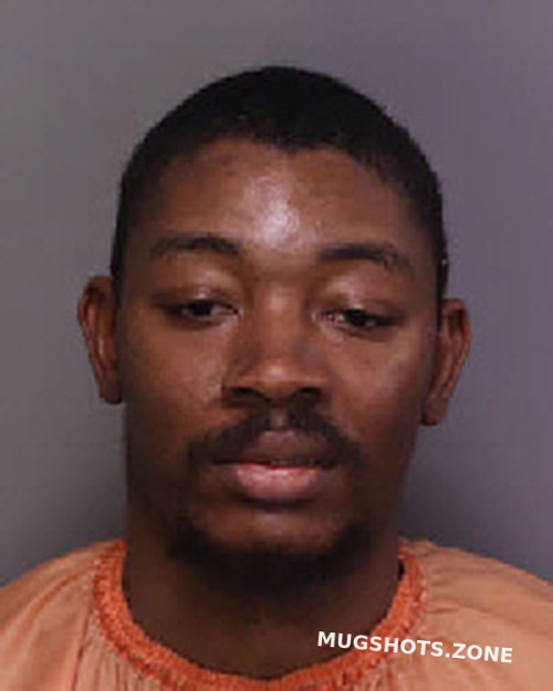 WILLIAMS CALVIN KASHOWN 08/07/2024 - Florence County Mugshots Zone