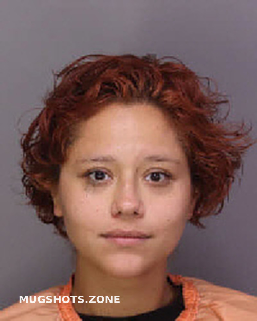 LAZO AMELIDA ESTEFANI 08/15/2024 - Florence County Mugshots Zone