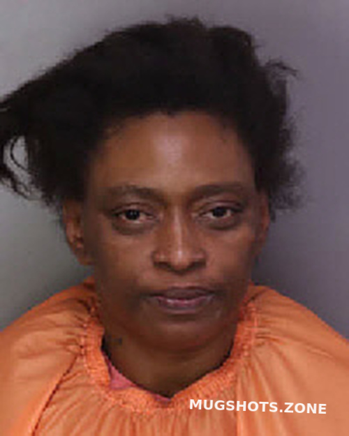 NETTLES WANDA YVONNE 09/22/2024 - Florence County Mugshots Zone