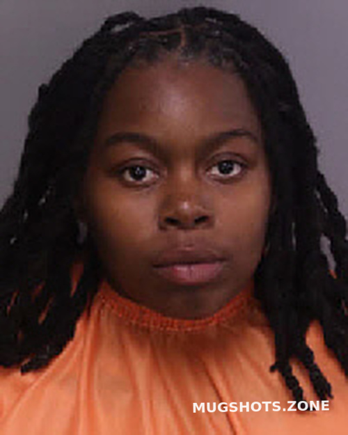 NELSON DIAMOND DEARRIA 10/26/2024 - Florence County Mugshots Zone