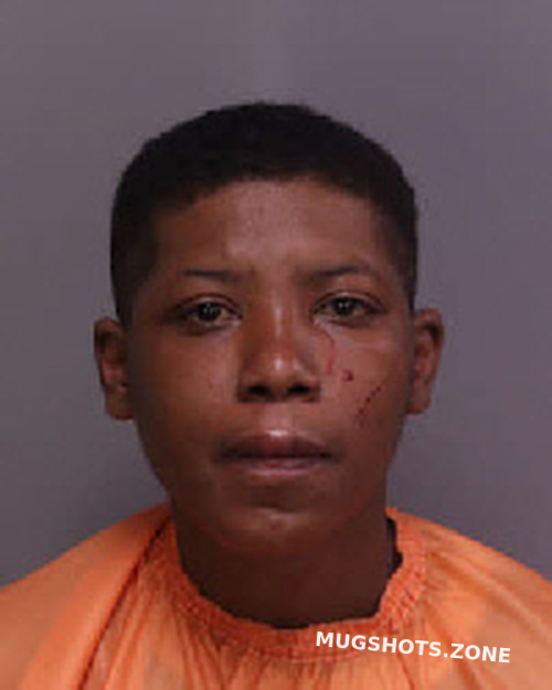 TIMMONS INDIA TIERRA 11/06/2024 - Florence County Mugshots Zone