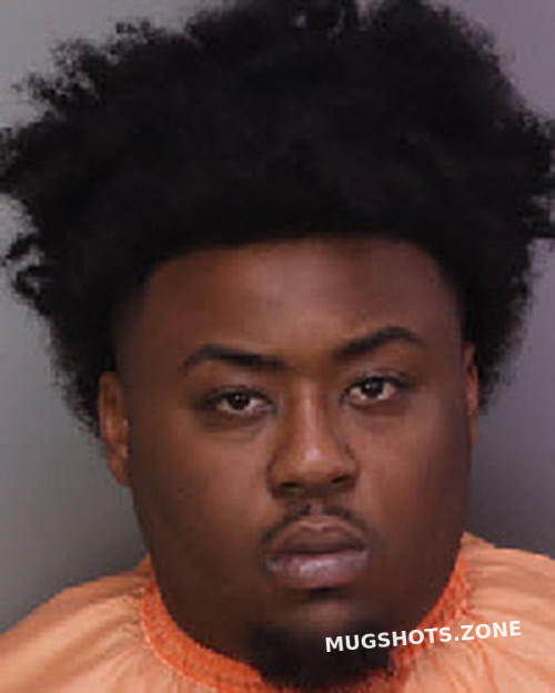 Mackey Shawn Dale 11 06 2024 Florence County Mugshots Zone