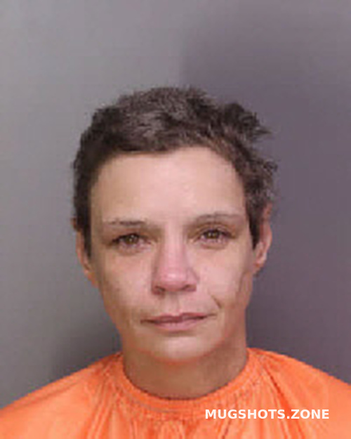 RHEIN AMANDA ROBIN 11/08/2024 - Florence County Mugshots Zone