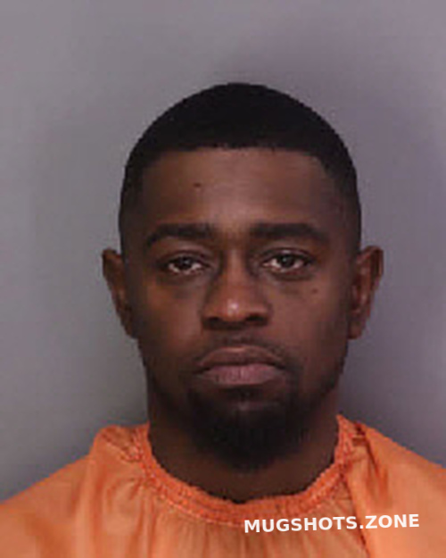 REID OTIS 11/28/2024 - Florence County Mugshots Zone