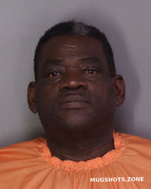 HANNA MACK NELSON 12/18/2024 - Florence County Mugshots Zone