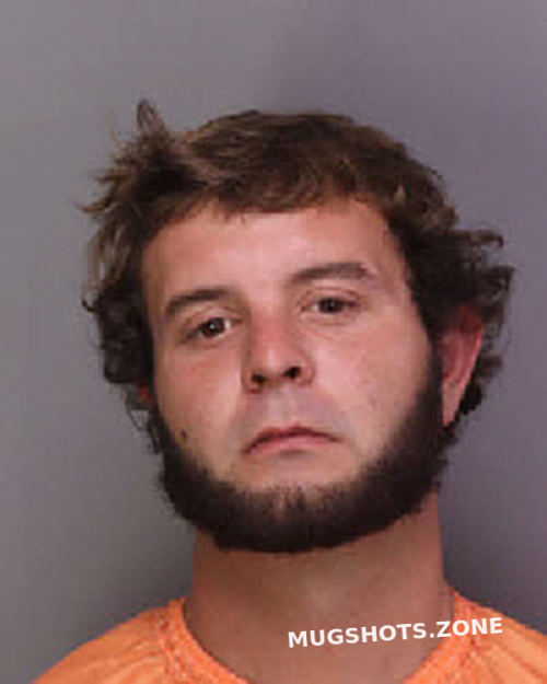 DAVIS BRYAN AUSTIN 12/29/2024 - Florence County Mugshots Zone