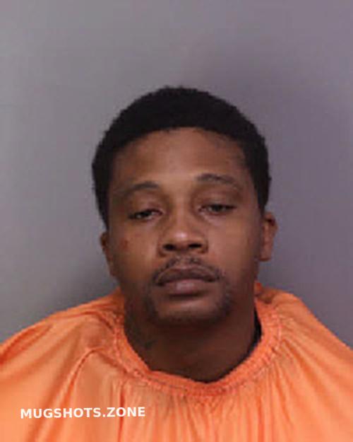 CHESTNUT RASHEEM QUASHAWN 01/02/2025 - Florence County Mugshots Zone