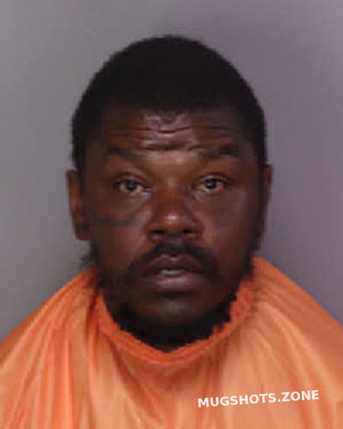 RAYNOR VICTOR CAESAR 01/06/2025 - Florence County Mugshots Zone