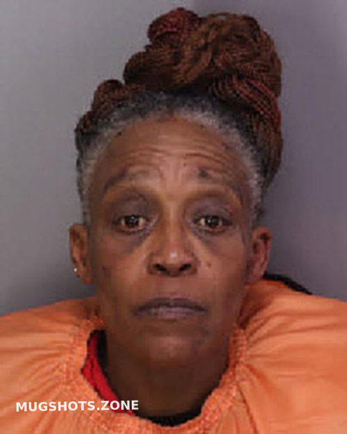 JOHNSON SHARON DENISE 01/13/2025 - Florence County Mugshots Zone