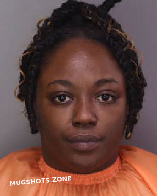 JOHNSON MAKEEL OCTAVIA 01/27/2025 - Florence County Mugshots Zone