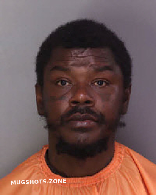 RAYNOR VICTOR CAESAR 01/29/2025 - Florence County Mugshots Zone
