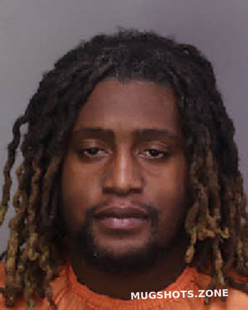 CAMERON STERLING CHAVEZ 02/02/2025 - Florence County Mugshots Zone