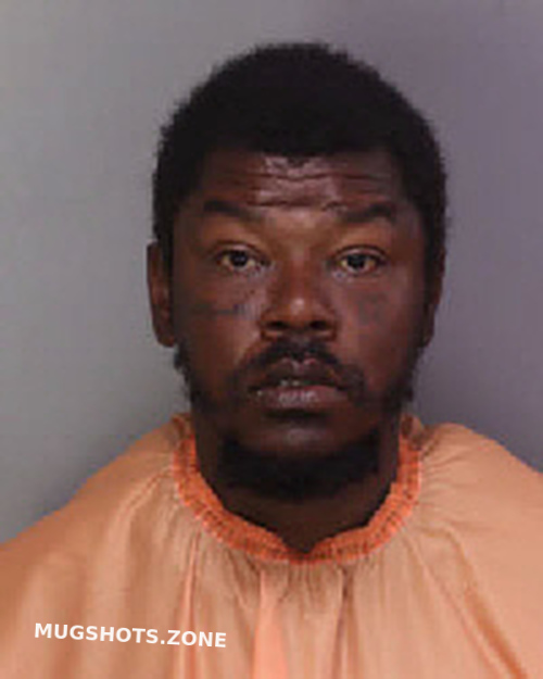 RAYNOR VICTOR CAESAR 02/05/2025 - Florence County Mugshots Zone