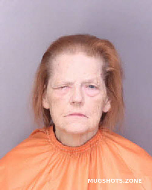 COOKE NANCY KATHLEEN 02/18/2025 - Florence County Mugshots Zone
