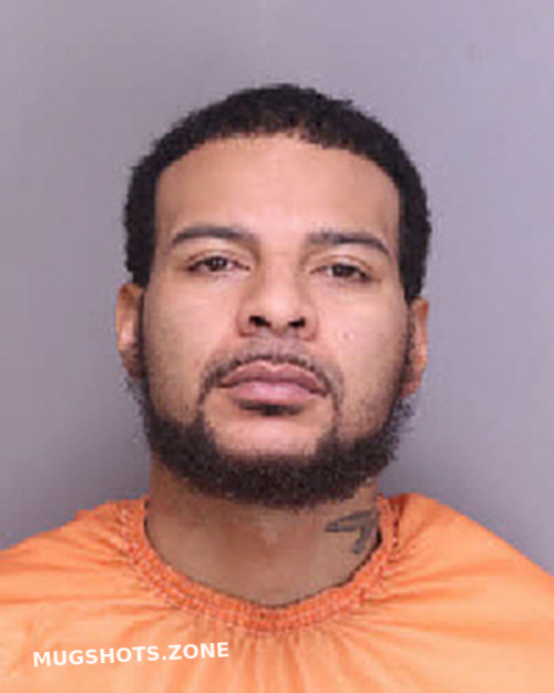 WILLIAMS JERRY DEVINE 03/13/2025 - Florence County Mugshots Zone