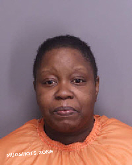 SMALLS VIRGINIA MONIQUE 03/18/2025 - Florence County Mugshots Zone