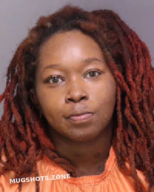 FELDER DAJHA NASHEA 03/21/2025 - Florence County Mugshots Zone