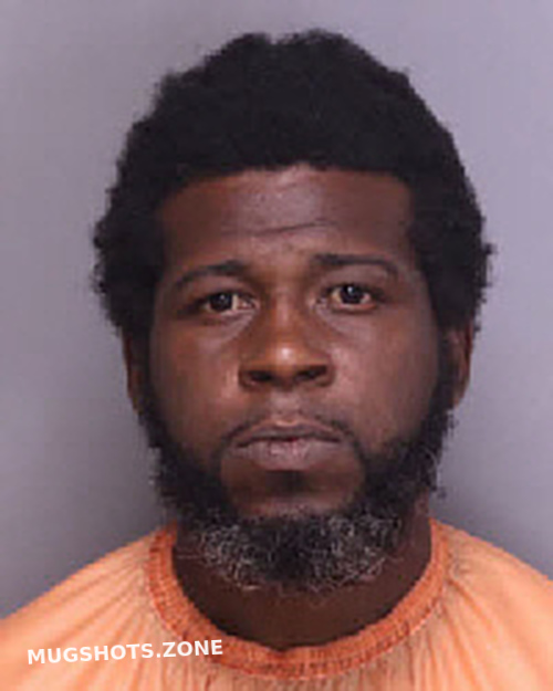 RODNEY RAGINS JERMAINE 03/25/2025 - Florence County Mugshots Zone